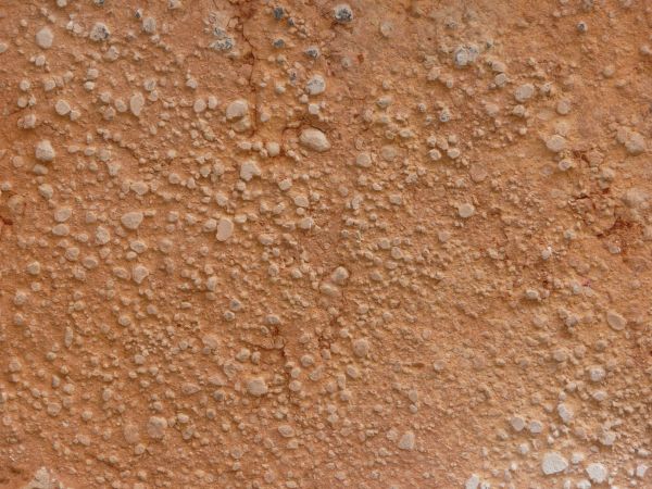 rocks in concrete texture 0045 - Texturelib